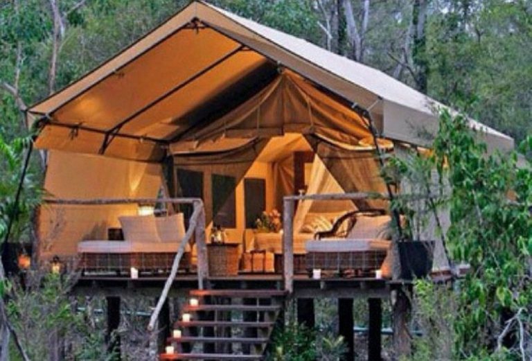 The 25 Coolest Adult Treehouses On The Planet Suburban Men